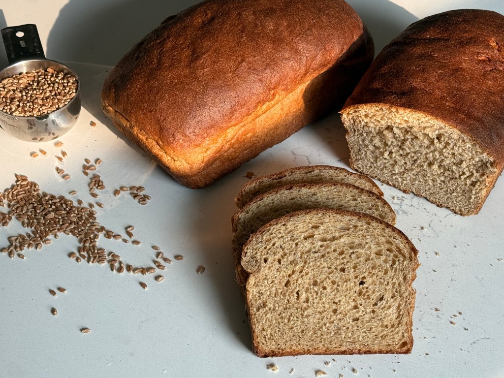 100% Whole Wheat Bread Recipe - Faithful Acres Farmhouse